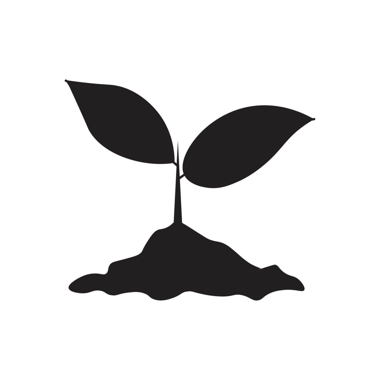 Adjustable Seed Depth